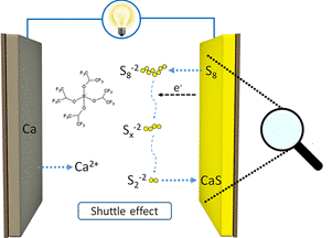Unveiled the mechanism governing calcium-sulfur batteries - Ceric