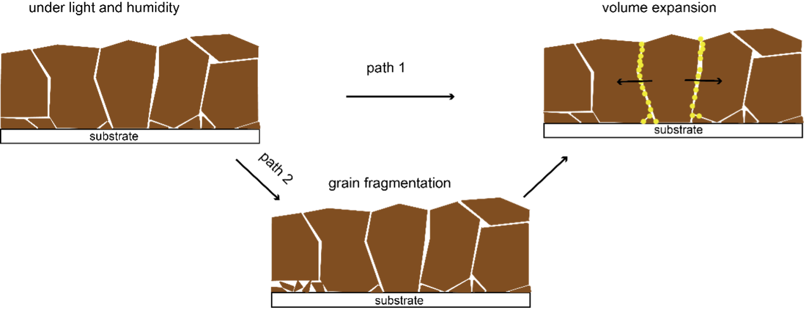 New insights into perovskite solar cells degradation - Ceric