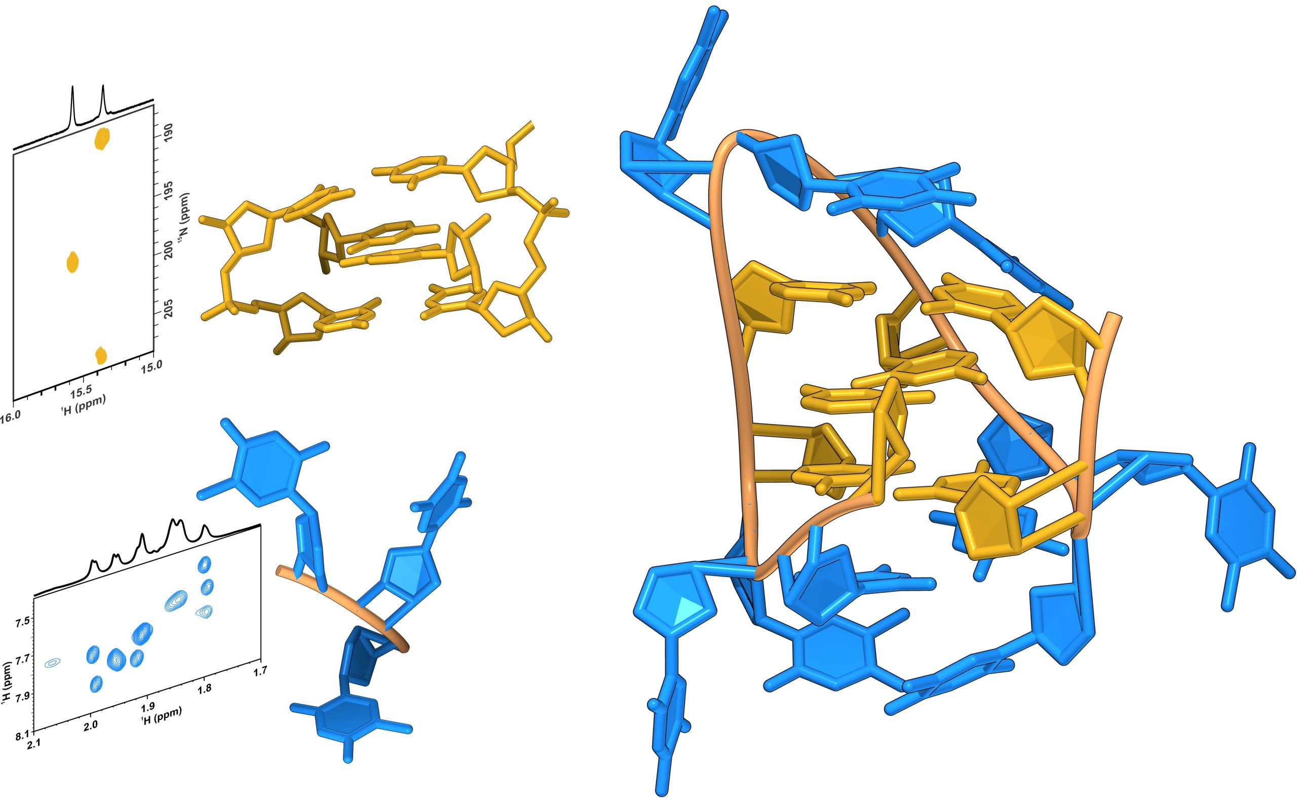 New insights on the formation of secondary nucleic acid structures ...